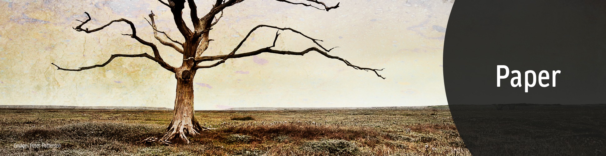 Browse Our Paper Range | Any Type for Any Job | Fotospeed