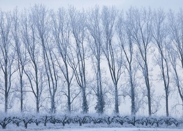 The Landscape Photographer’s Calendar: What to Shoot in December ...