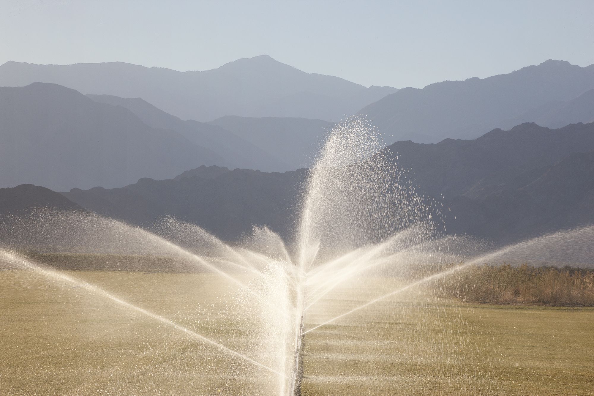 THE INTIMATE LANDSCAPE 6 : BACKLIGHTING